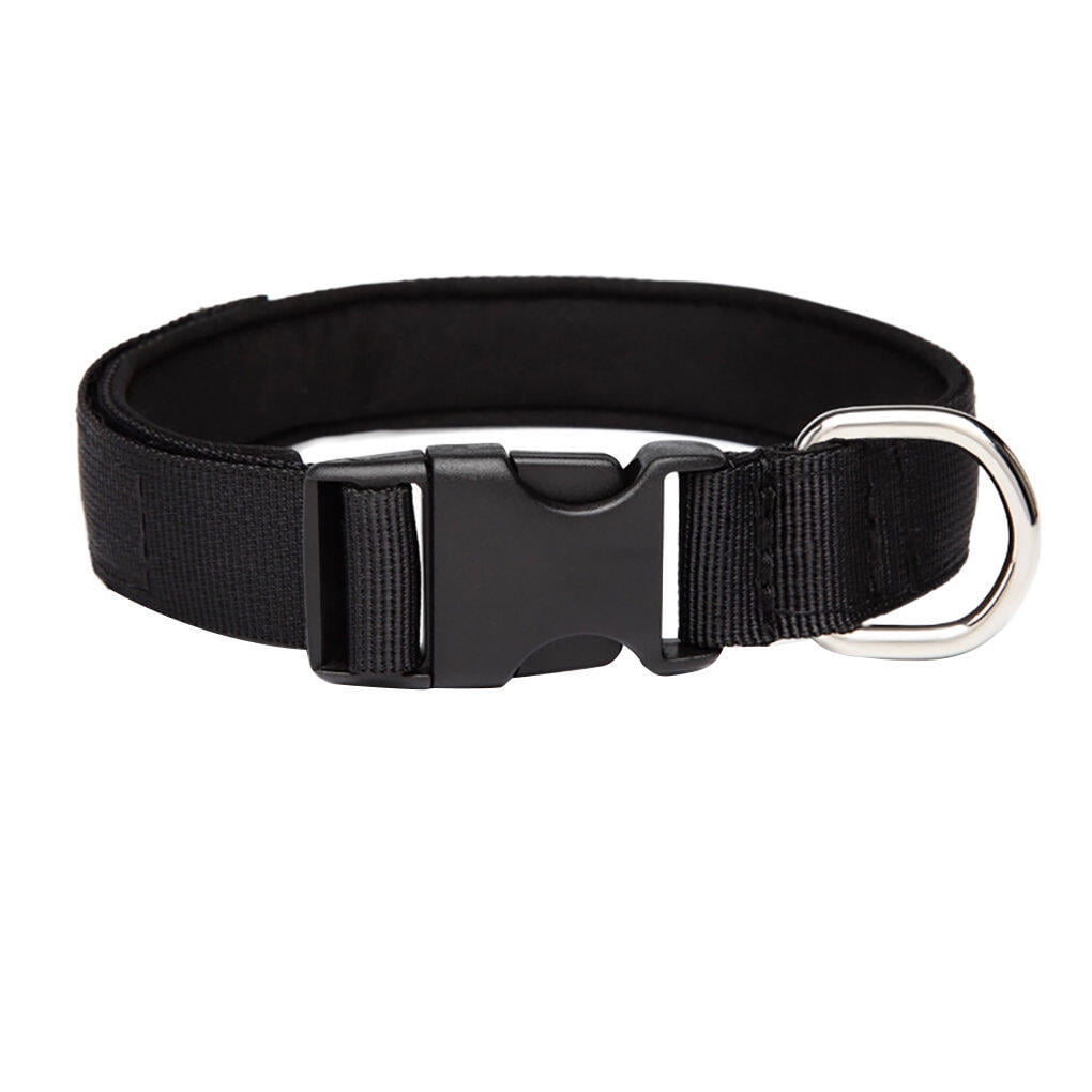 PetEquip Adjustable Nylon Dog Collar Solid Color Puppy Neck Pet Leash ...