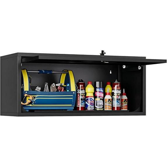 PetFurnishn Small Wall-Mounted Locking Cabinet Metal Garage Storage ...