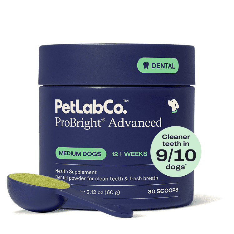 PetLab Co. ProBright Dental Powder - Dog Teeth & Breath Care - Walmart.com