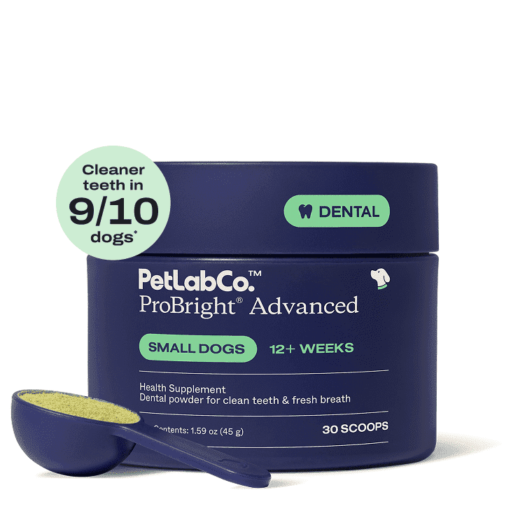 Petlab ProBright Advanced Dental Powder for Small Dogs, Whitener for ...