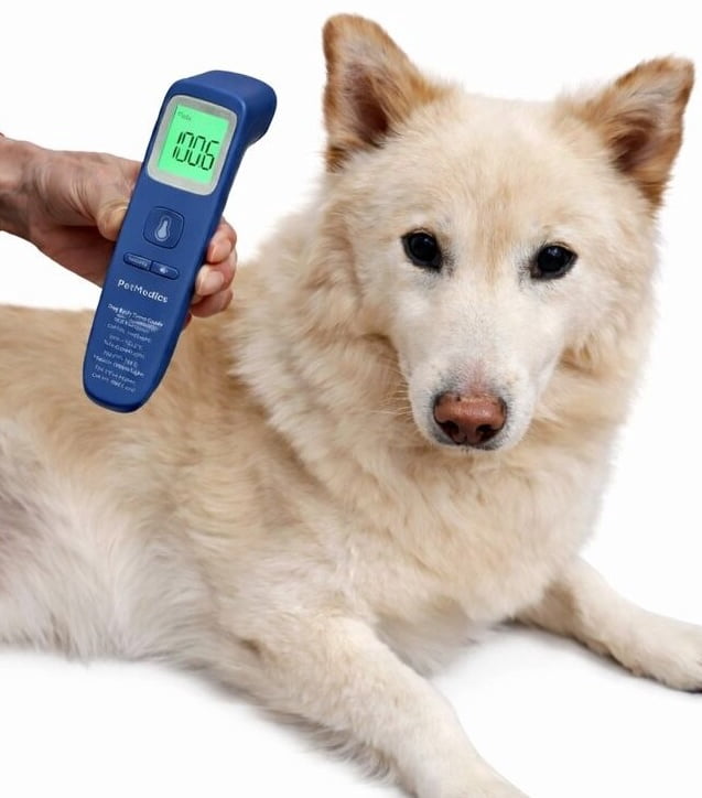 PetMedics Non-Contact Touchless Digital Thermometer for Dogs, Infrared ...