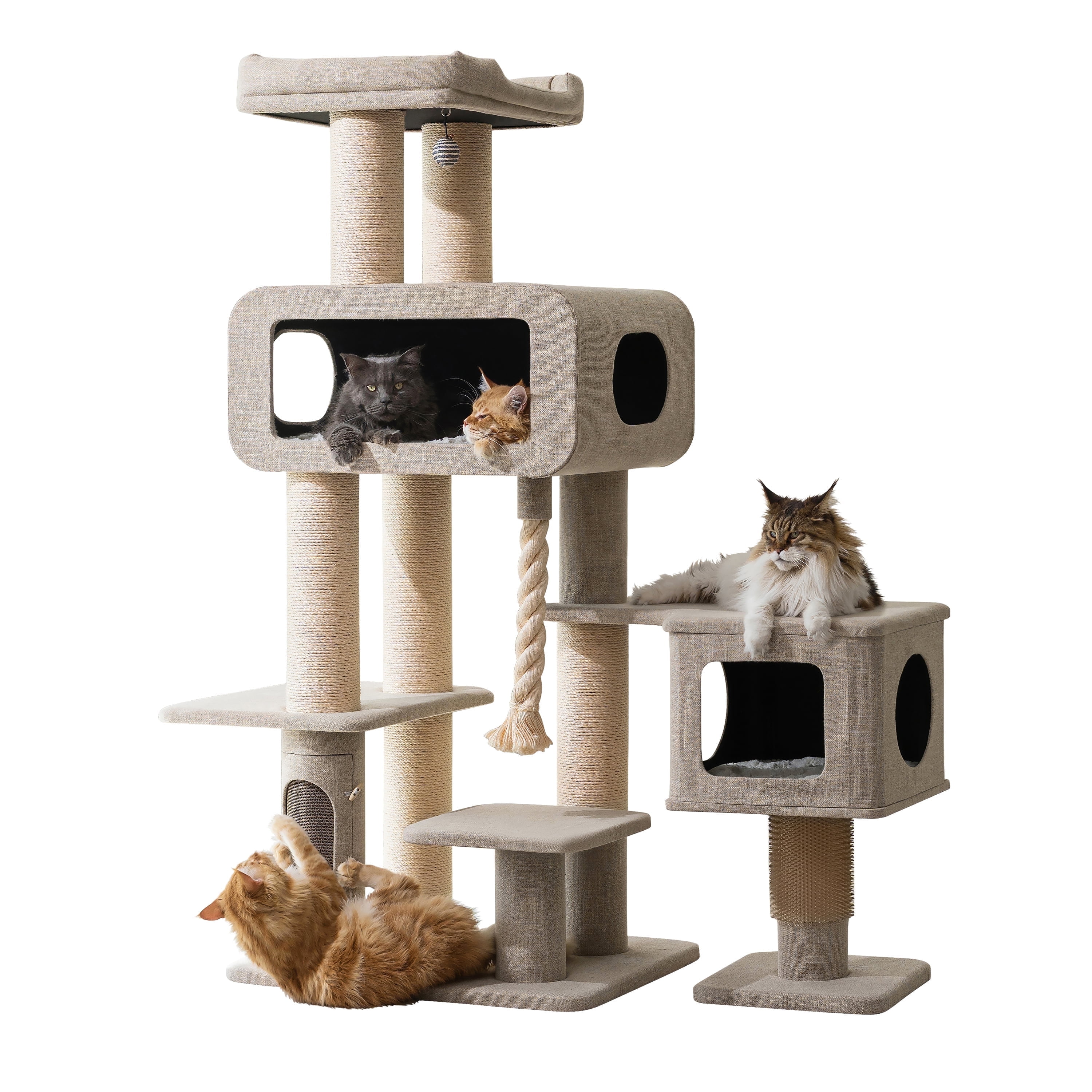 PetPals 71” Grand Maine Coon™ Cat Tree – Ontario, with Large Condo, Replaceable Cardboard ...