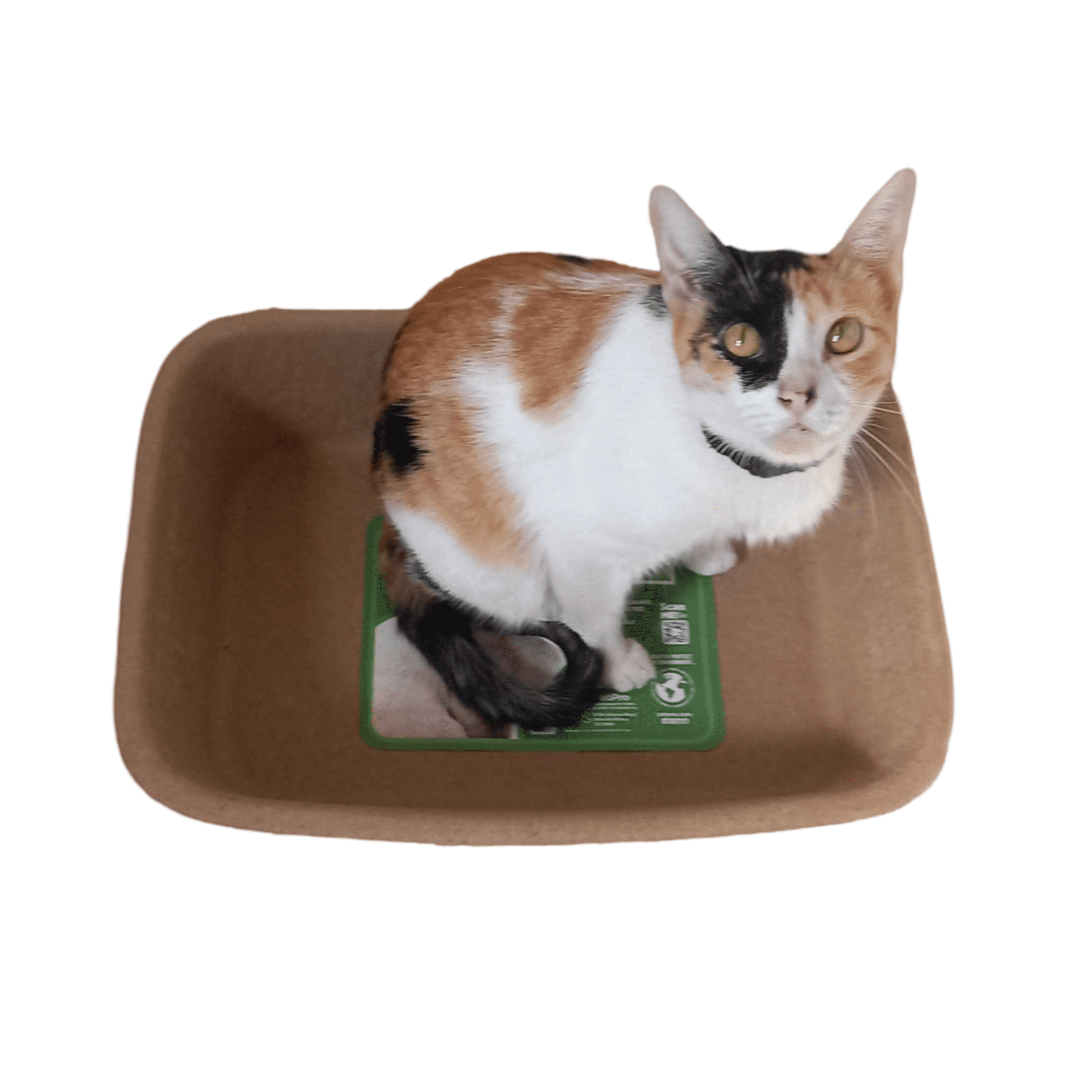 PetPro B-Neat Cardboard Kitty Litter Box - Innovative Cat Litter ...