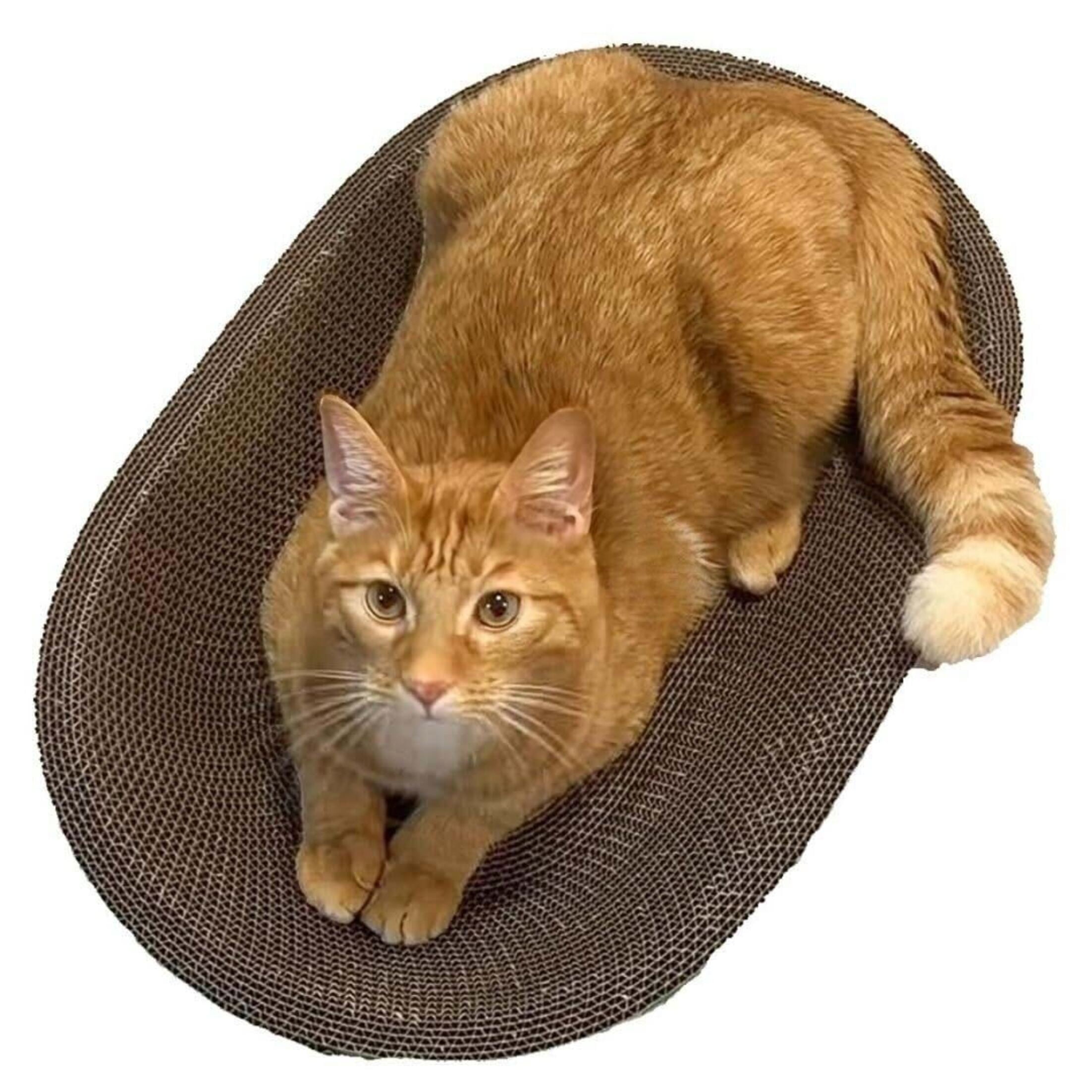 PetPro B Scratcher Lightweight Corrugated Carboard Cat Scratching Pad ...
