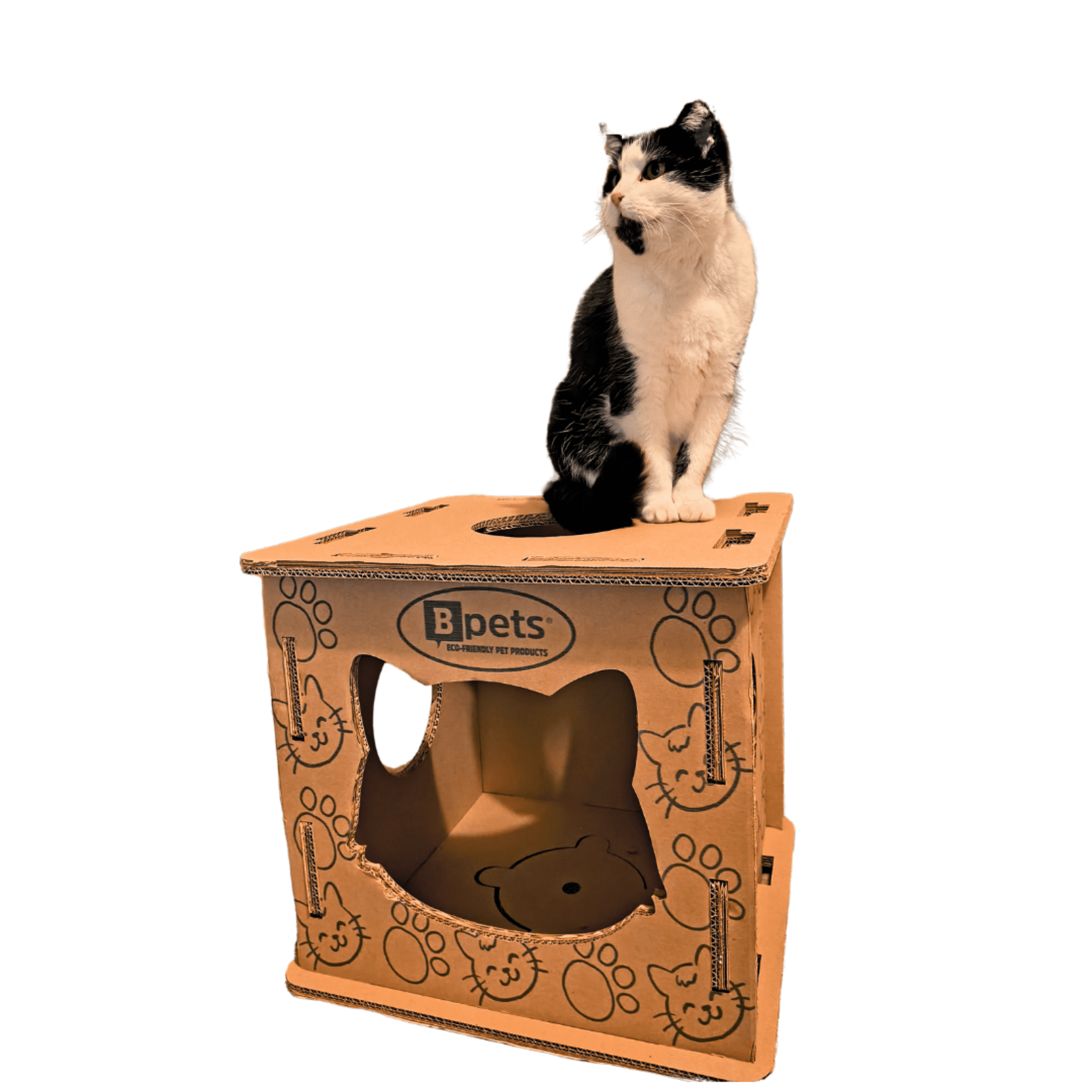 PetPro Lightweight 1-Story Indoor Cat House with Scratching Box, Cat ...