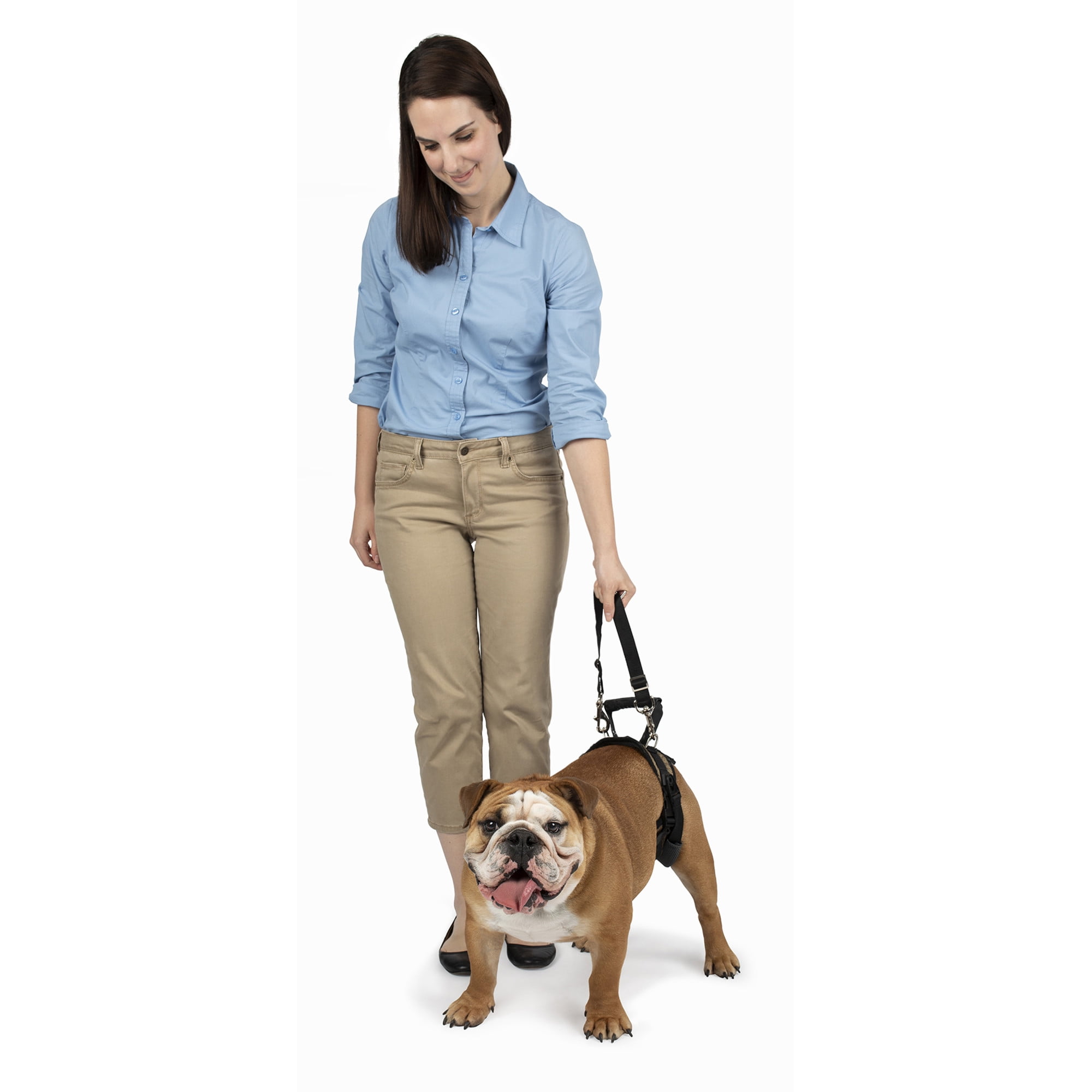 PetSafe CareLift Rear Support Harness for Pet Mobility & Older Dogs ...