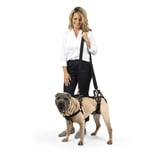 PetSafe, PetSupport Dog Harness, SupportLift Full Body, Medium ...