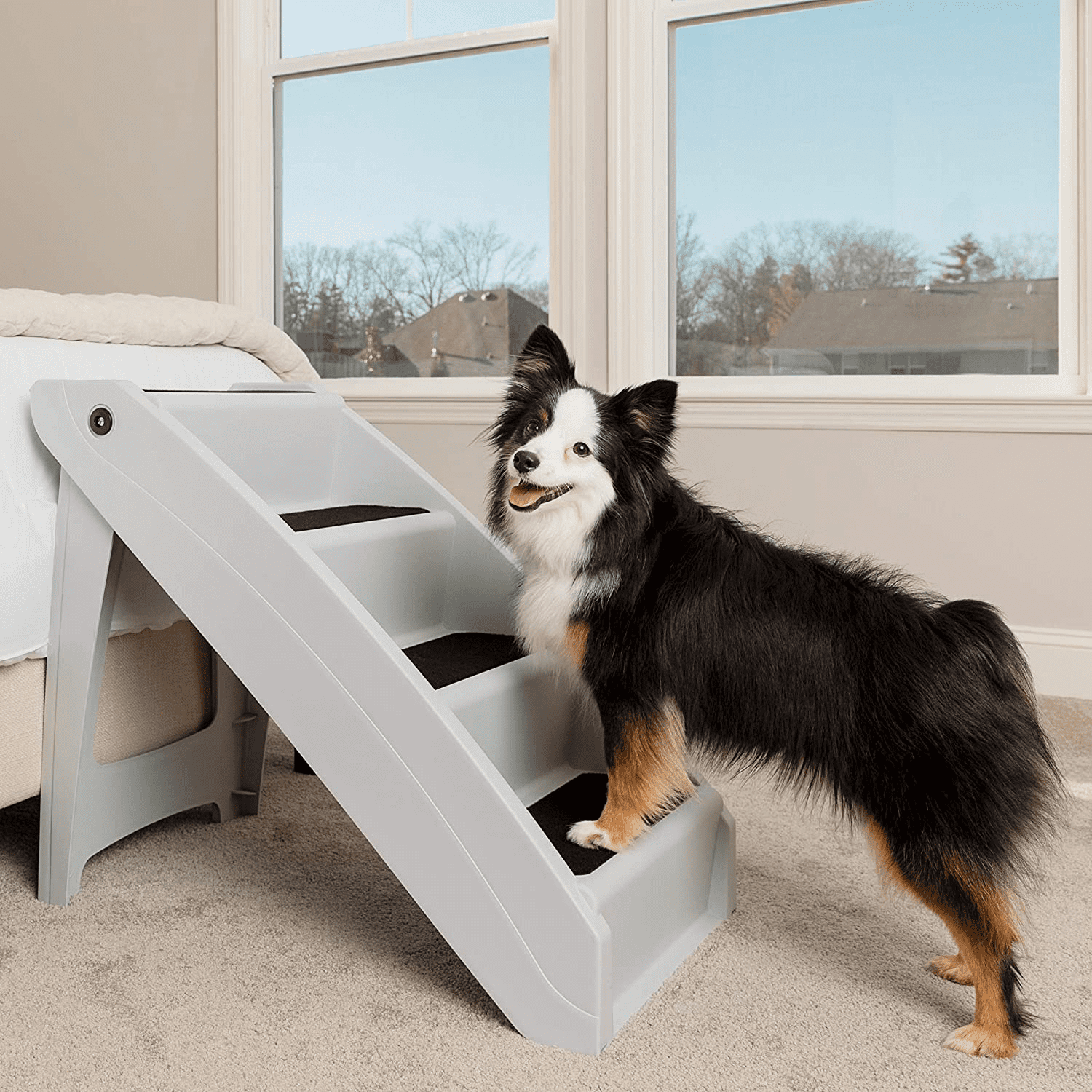 PetSafe CozyUp Folding Pet Steps, Foldable Steps for Dogs and Cats ...