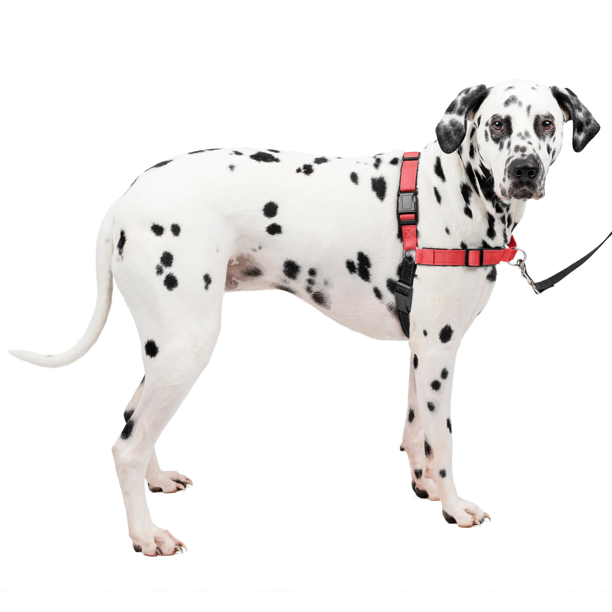 PetSafe Deluxe Easy Walk Dog Harness, No Pull, Rose, L - Walmart.com
