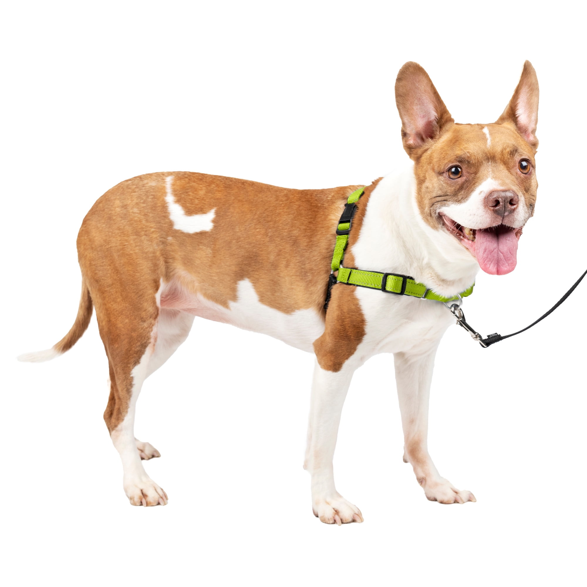 Easy Walk Harness