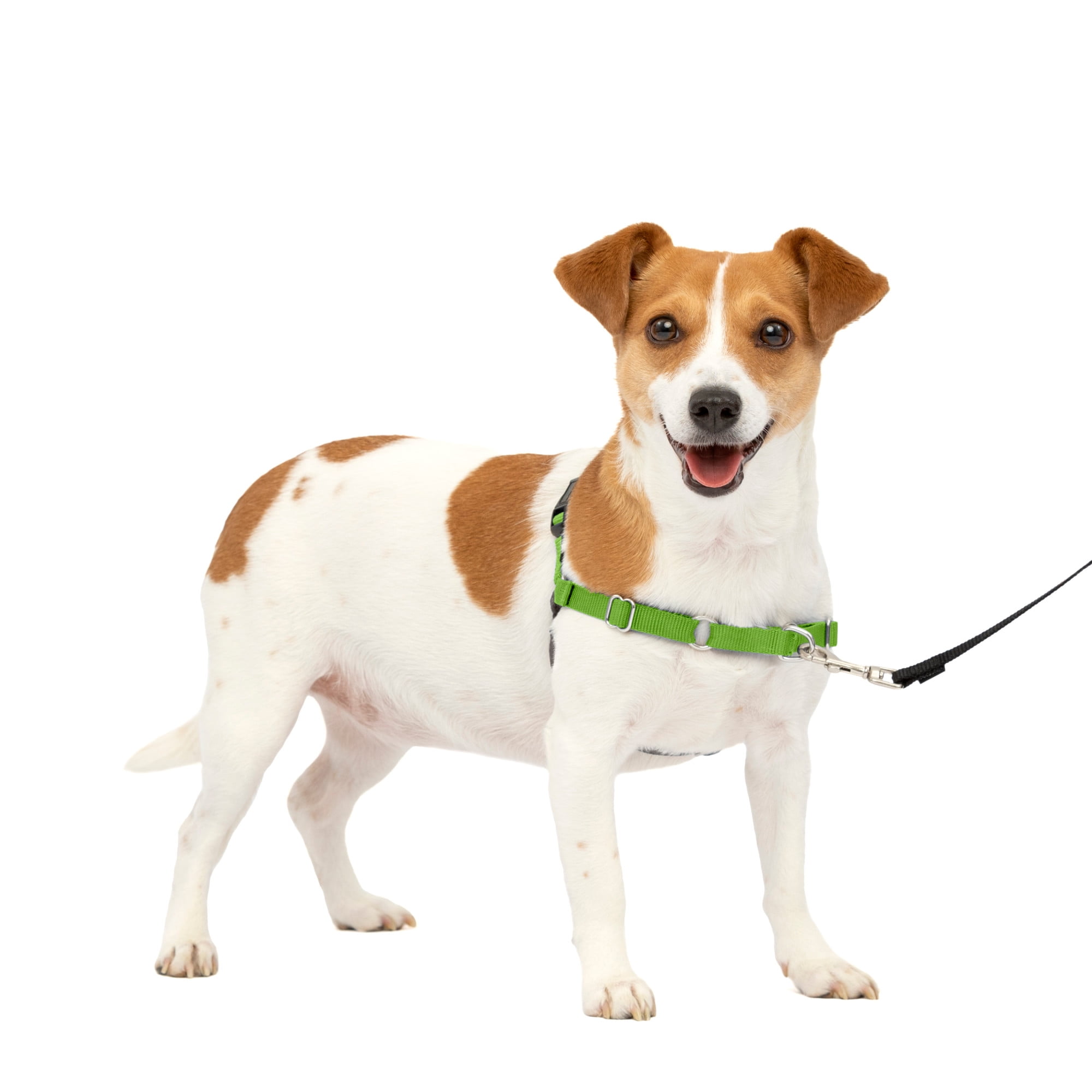 PetSafe Easy Walk Dog Harness, No Pull Leash, prevents from Choking on ...