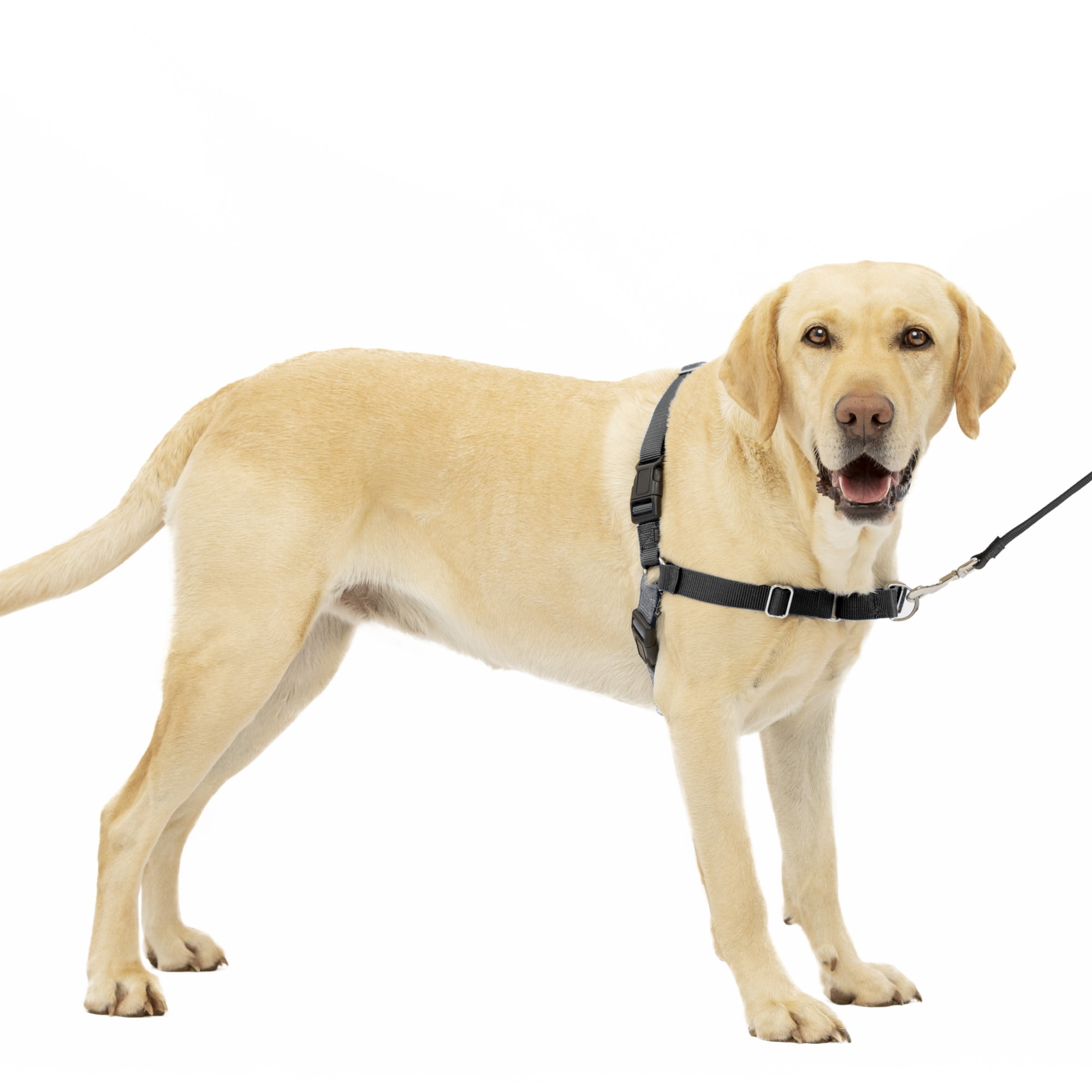 PetSafe Easy Walk No-Pull Dog Harness, Large, Charcoal Grey - Walmart.com