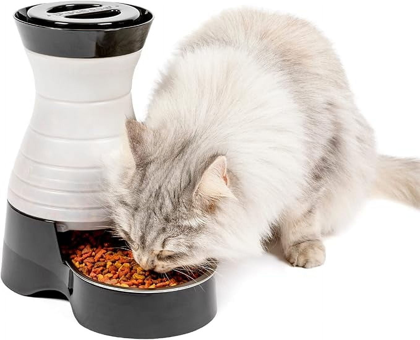 PetSafe Healthy Pet Food Station - Small 2 lb Kibble Capacity - Gravity ...