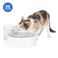 PetSafe Outlast Pumpless Pet Fountain 90oz White - Walmart.com