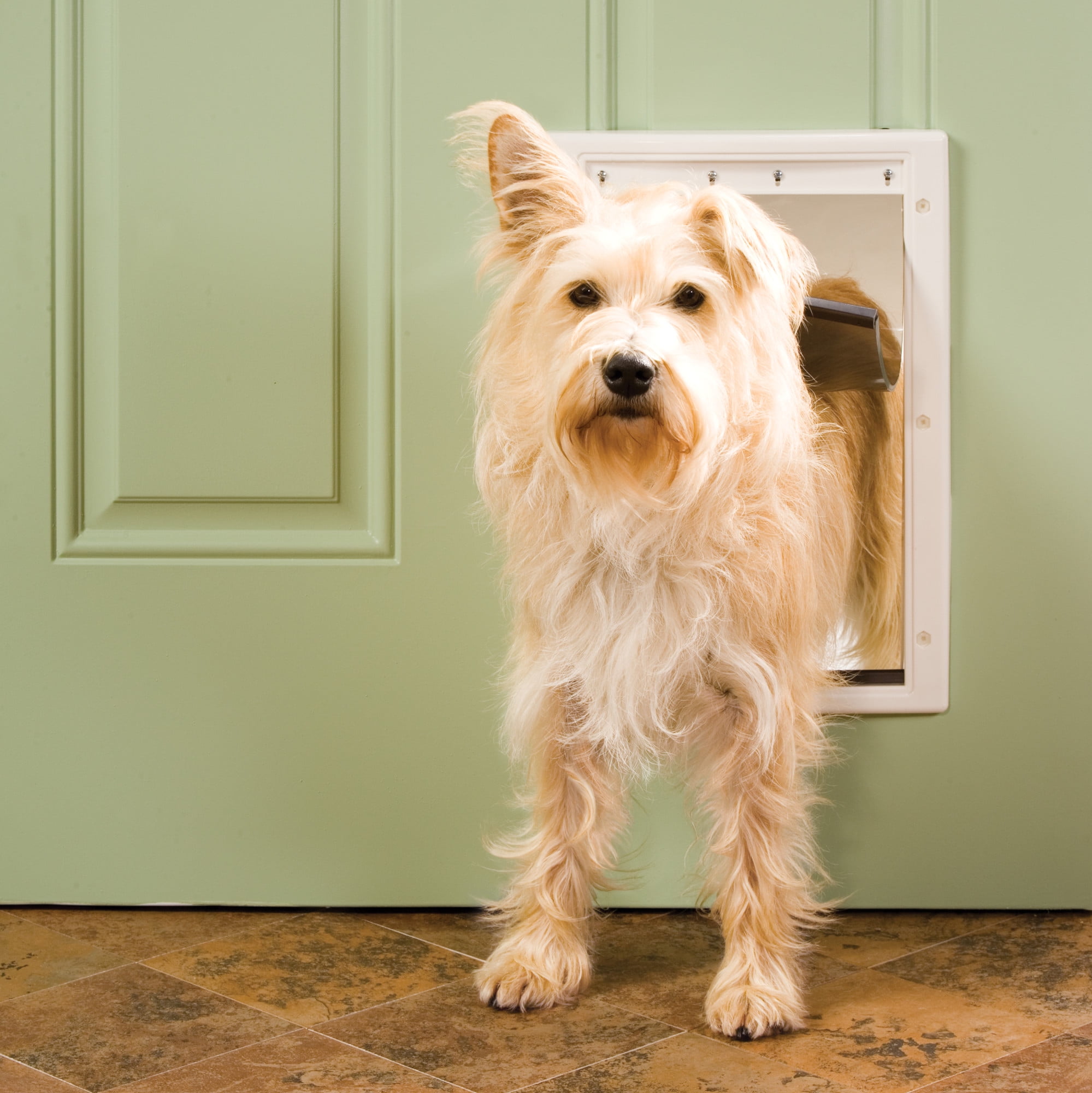 PetSafe Plastic Dog and Cat Door - Easy Installation - Medium - For ...