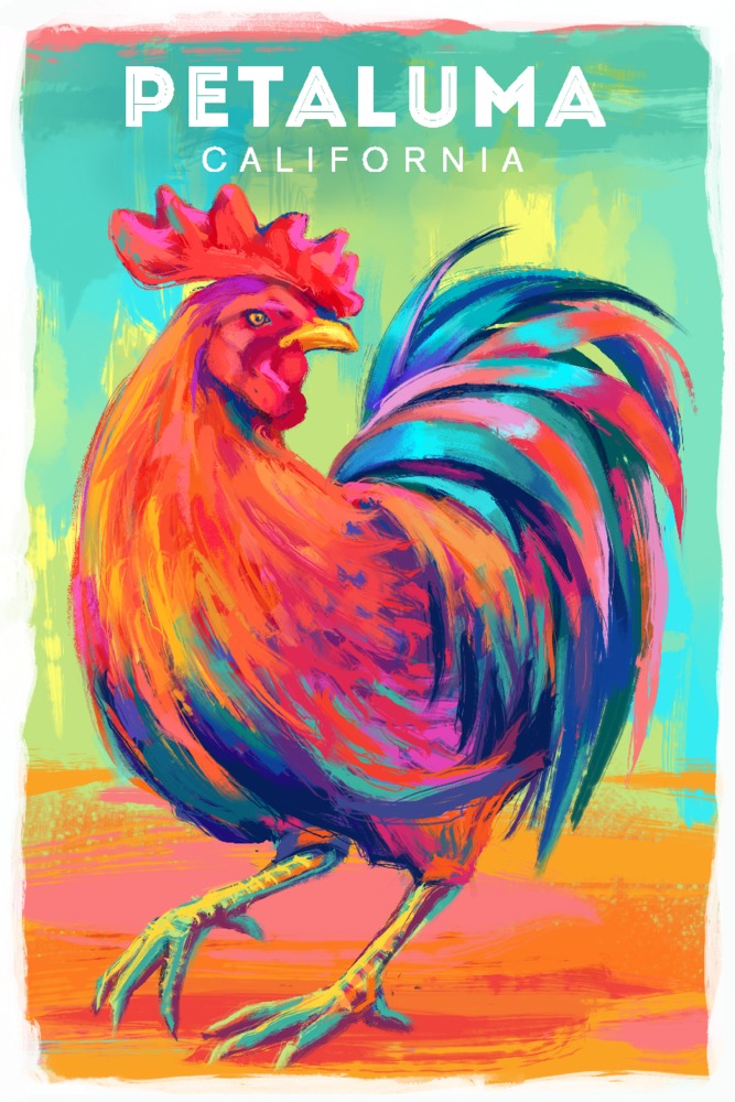 Petaluma, California, Rooster, Vivid Series (16x24 Giclee Gallery Art ...