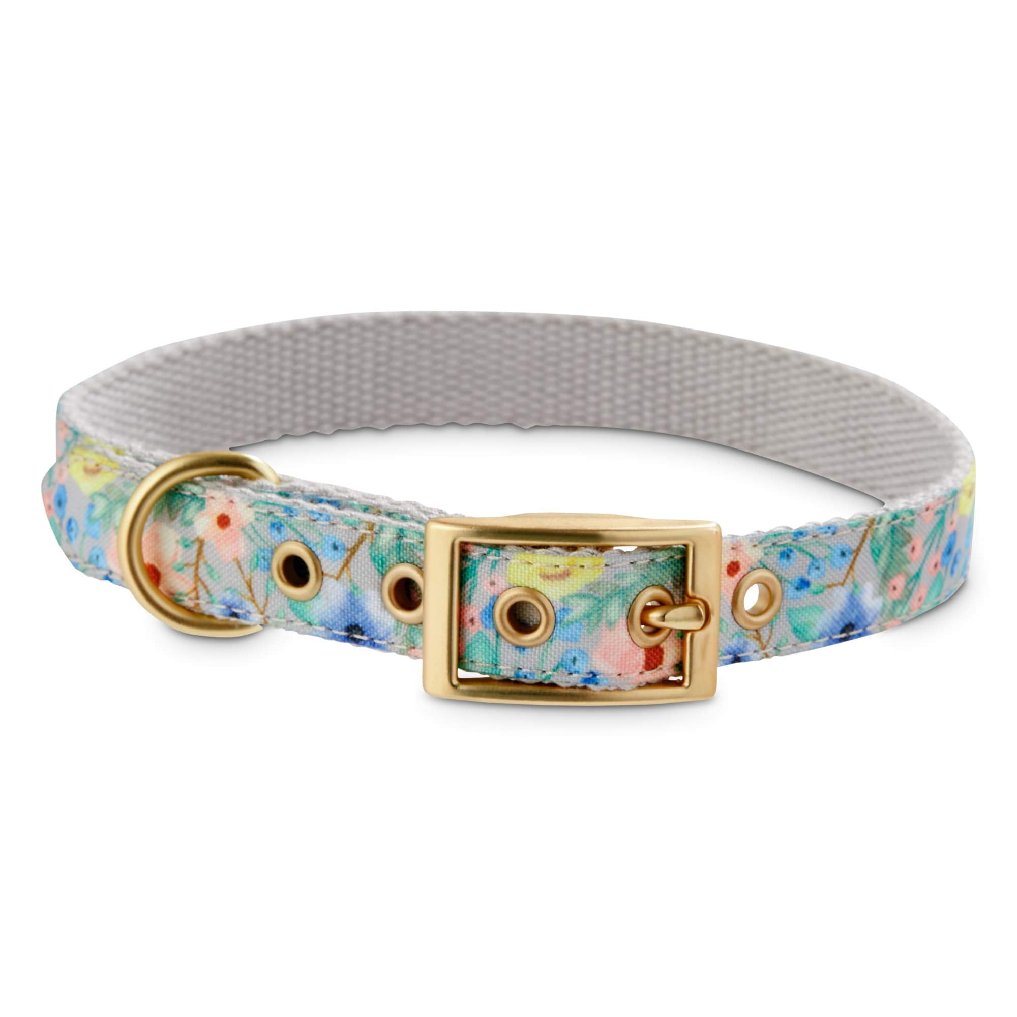 Petco Brand - Bond & Co. Watercolor Garden Dog Collar, Medium, Multi ...