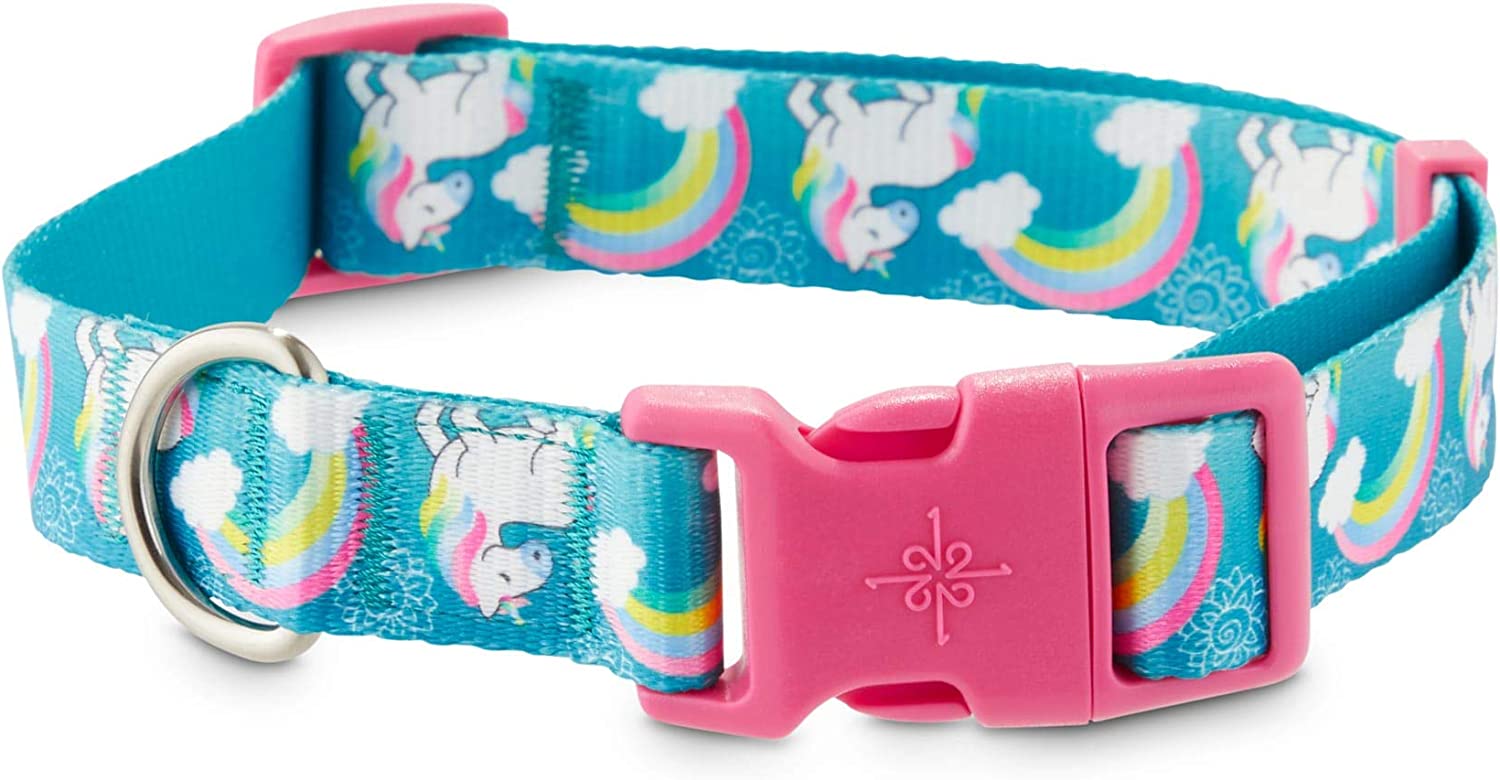 Petco Brand - Good2Go Rainbows and Unicorns Dog Collar, Large, Multi ...