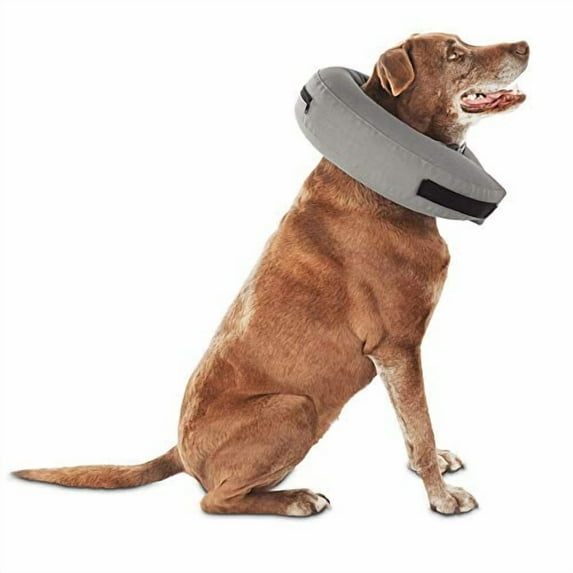 Petco Brand - Well & Good Inflatable Collar for Dogs and Cats, Medium ...