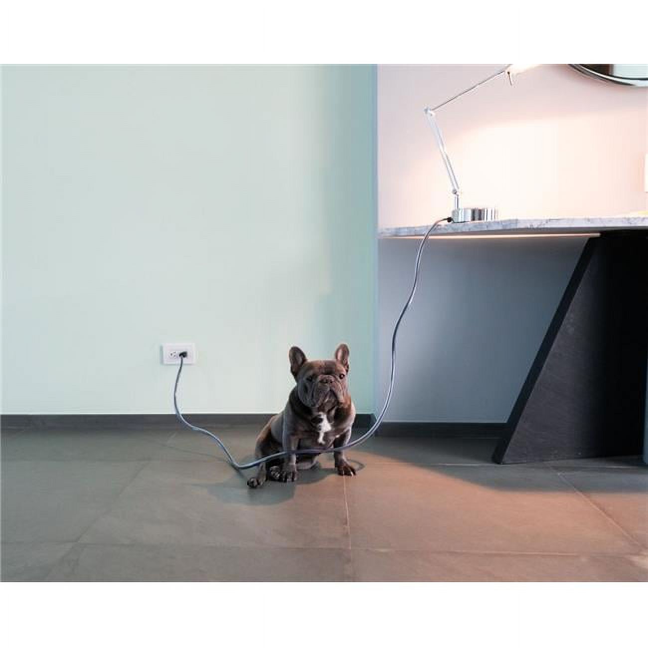 Petcords PC20 20 ft. Dog & Cat Cord Pet Protector - Walmart.com