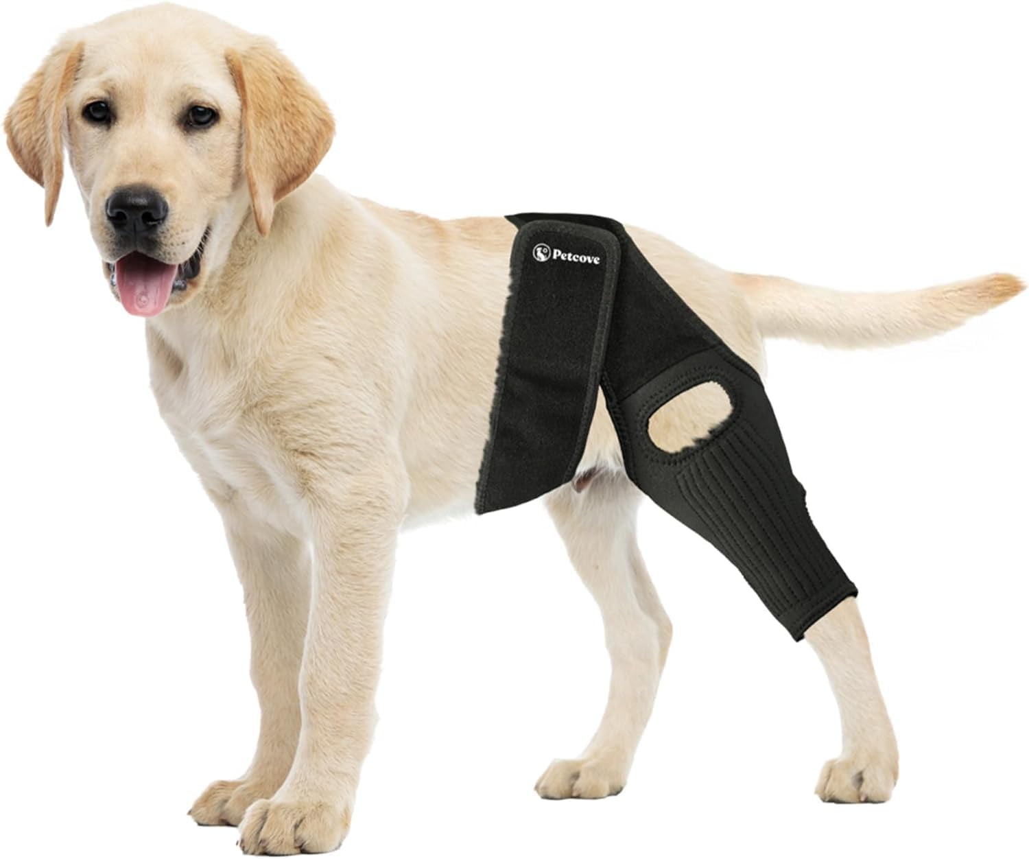 Petcove Small Dog Knee Brace for Torn ACL & Luxating Patella – Hind Leg ...