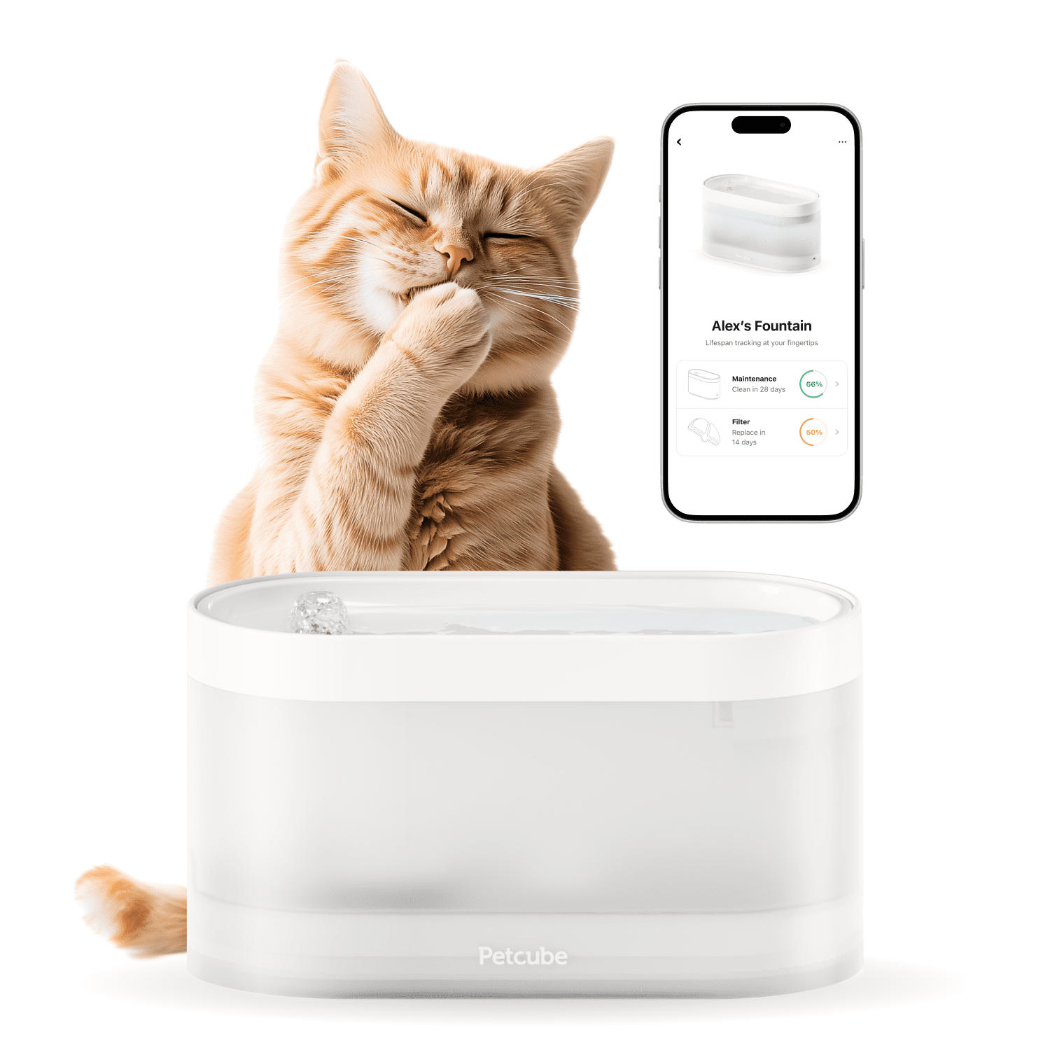 Petcube Pet Water Fountain for Cats and Dogs with Ceramic Bowl ...