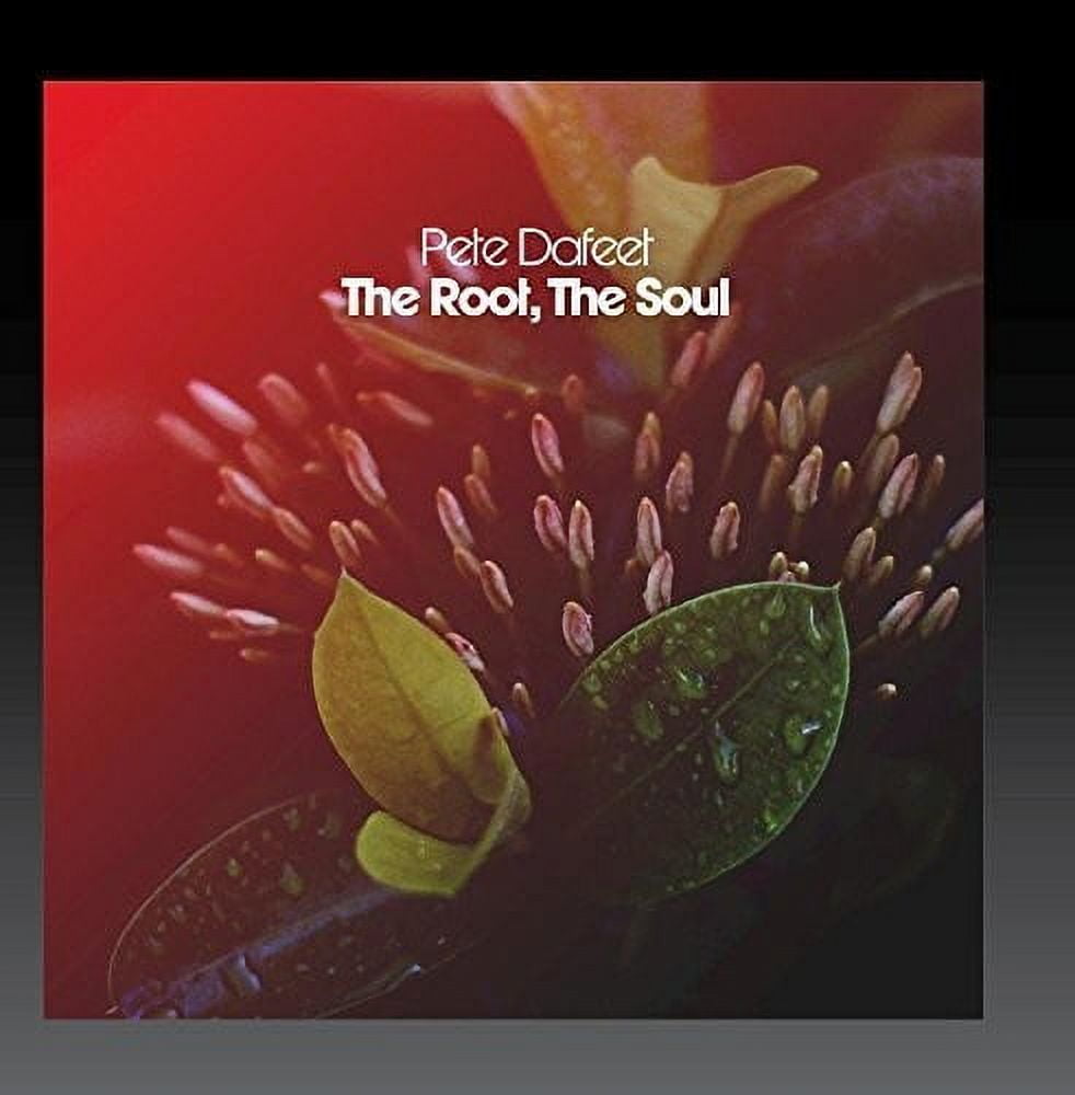 Pete Dafeet - The Root, the Soul - Electronica - CD - Walmart.com