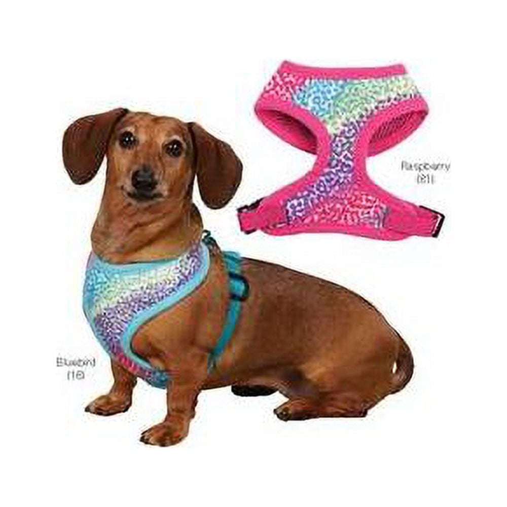 Petedge ZA2955 12 16 ESC Confetti Print Harness Sm Bluebird - Walmart.com