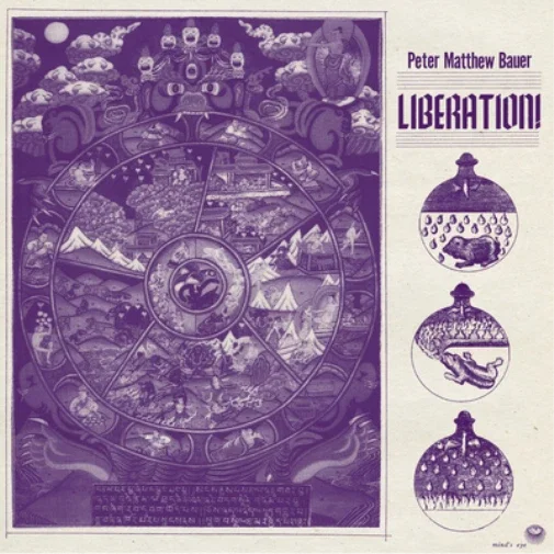 Peter Matthew Bauer Liberation! (Cd) Album - Walmart.com