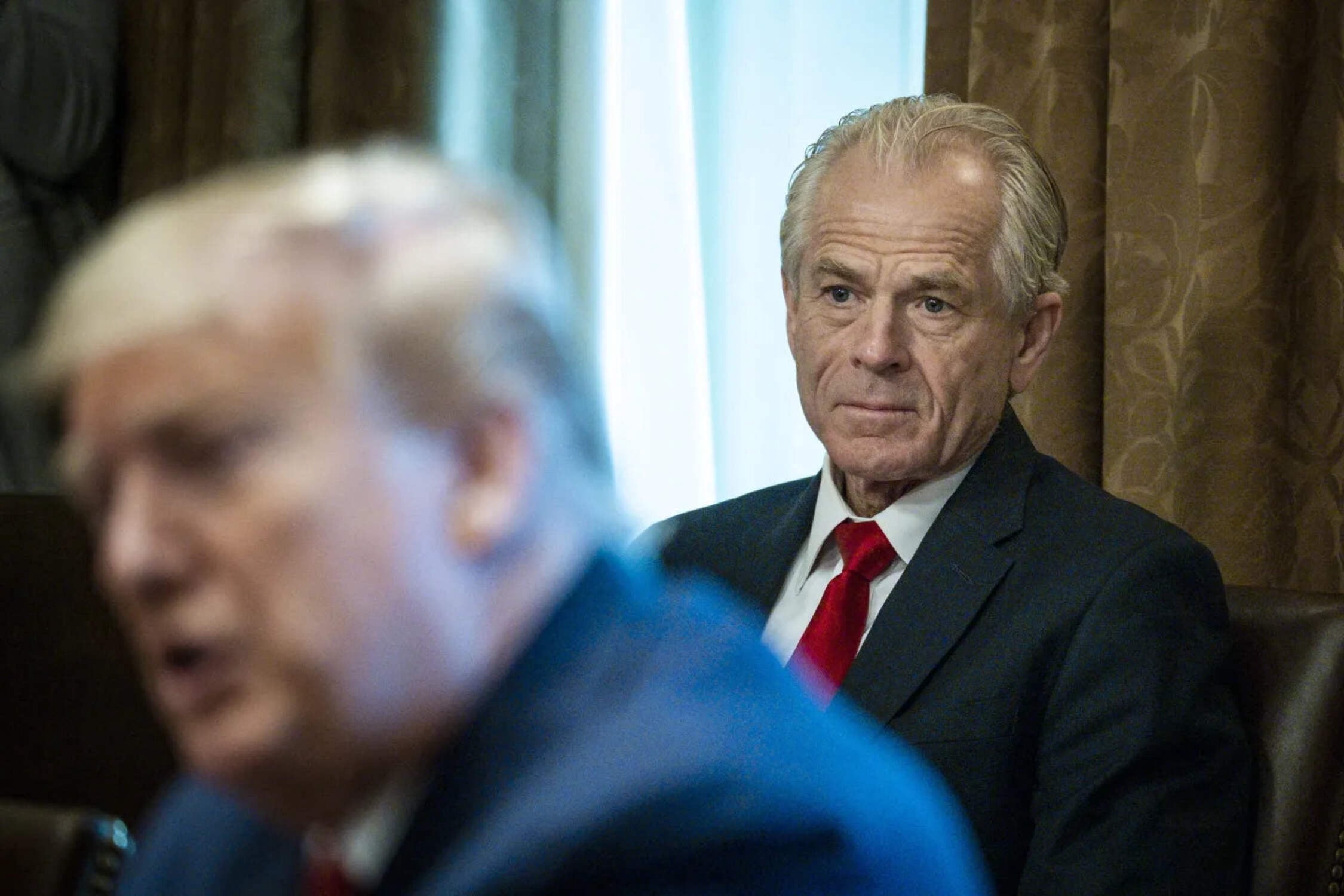 Peter Navarro Trump GLOSSY POSTER PICTURE PHOTO PRINT BANNER ...