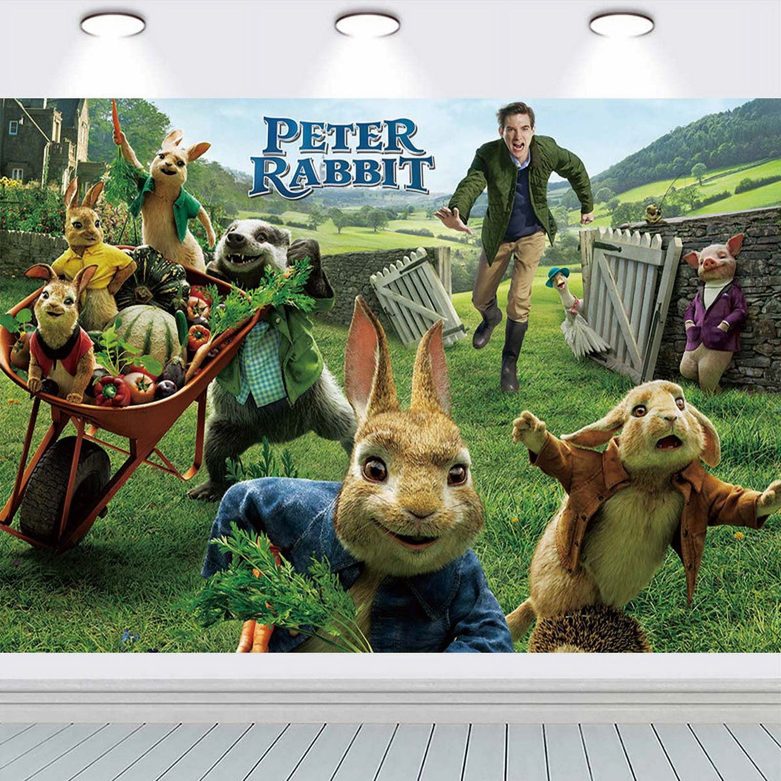 Peter Rabbit Backdrop Party Supplies Taspestry Background Wall Decor ...