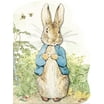 Peter Rabbit (Board Book) - Walmart.com
