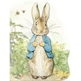 Peter Rabbit (Board Book) - Walmart.com