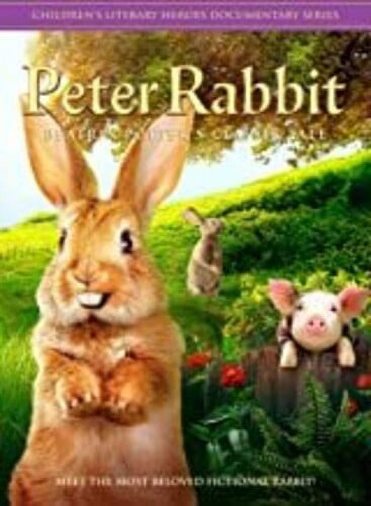 Peter Rabbit (DVD), Wownow Entertainment, Kids & Family - Walmart.com