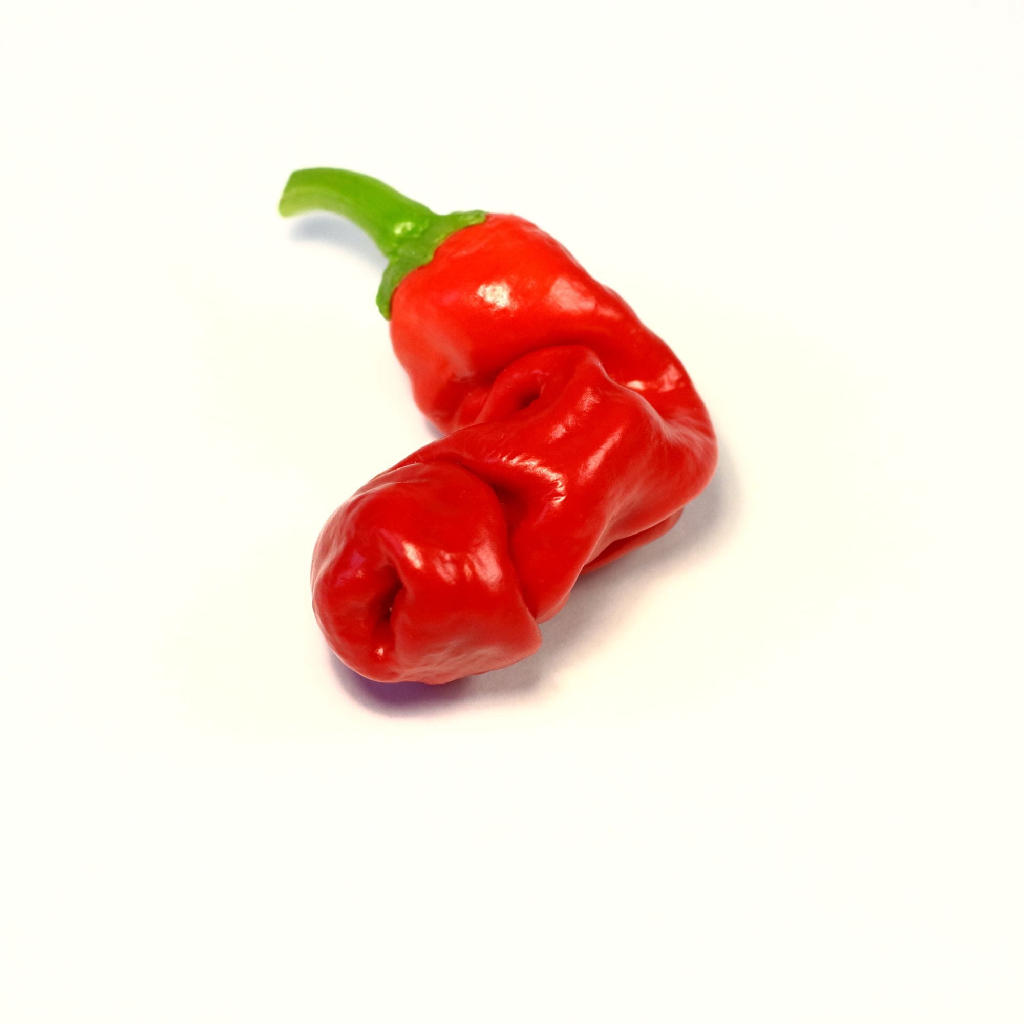 Peter Red Hot Pepper 250 Mg ~40 Seeds – Capsicum annuum – Non-GMO ...