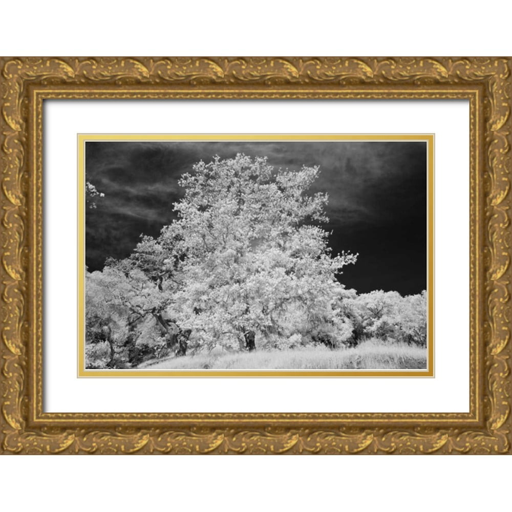 Peterson, Lee 24x17 Gold Ornate Wood Framed with Double Matting Museum ...