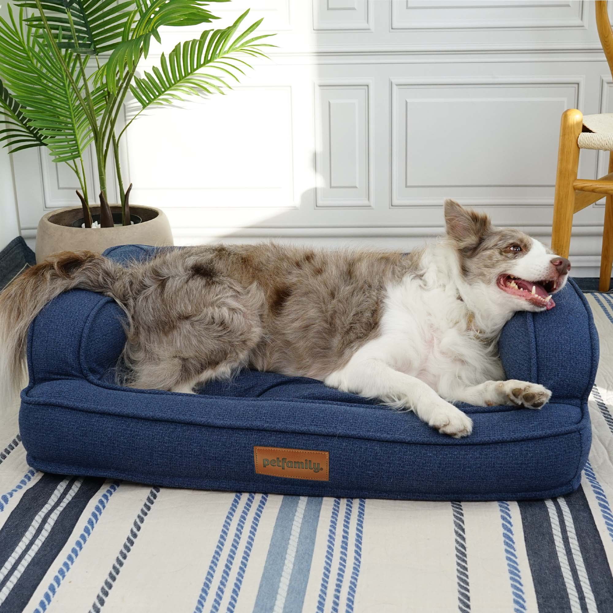 Petfamily Luxe Mattress Edition Washable Dog Bed, Pet Bed, Navy Blue ...