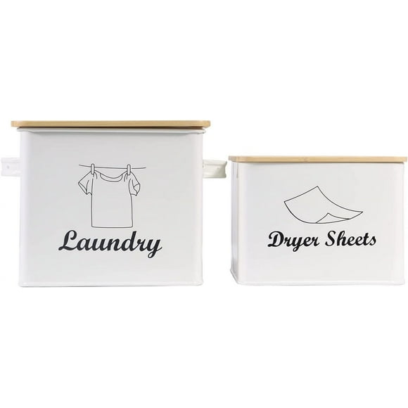 Powdered Laundry Detergent Container