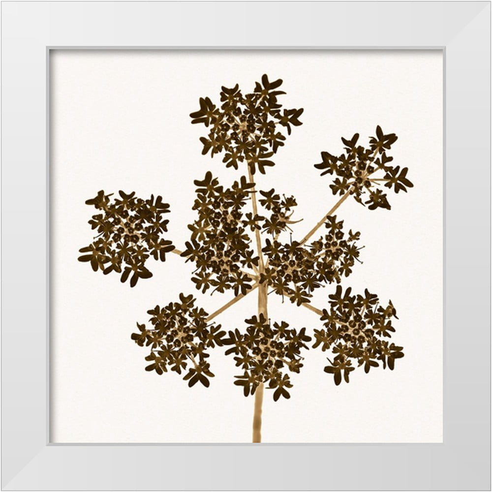 Petit, Yannick 26x26 White Modern Wood Framed Museum Art Print Titled ...