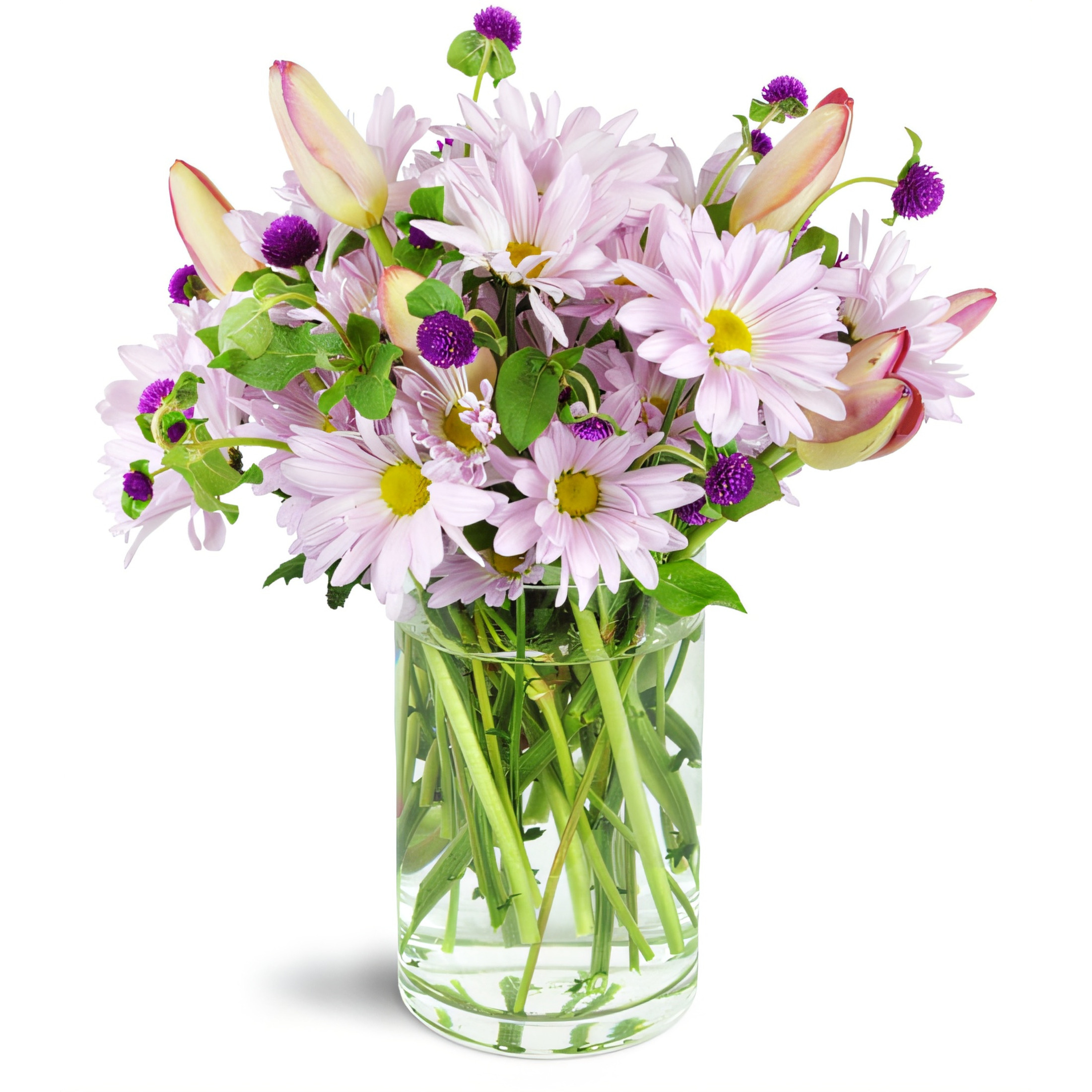 Petite Flower Shop - Lively Lavender - Standard - Walmart.com