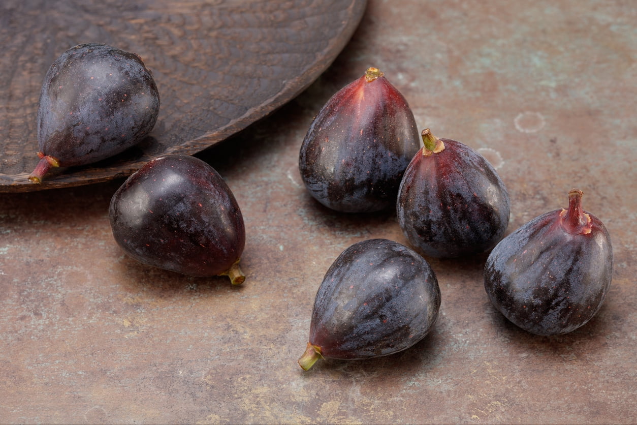 Petite Negri Edible Fig Plant -Ficus carica-Little Black Fig - 2.5" Pot ...