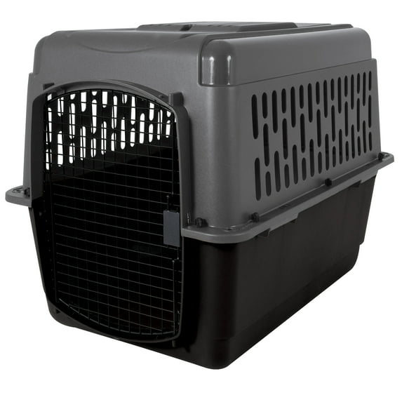 Aspen Pet Porter 32" Hard-Sided Plastic Travel Dog Kennel, Portable ...