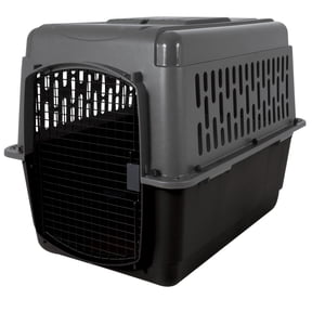 Petmate Sky Kennel for Dogs, IATA Approved, Plastic Travel Carrier ...