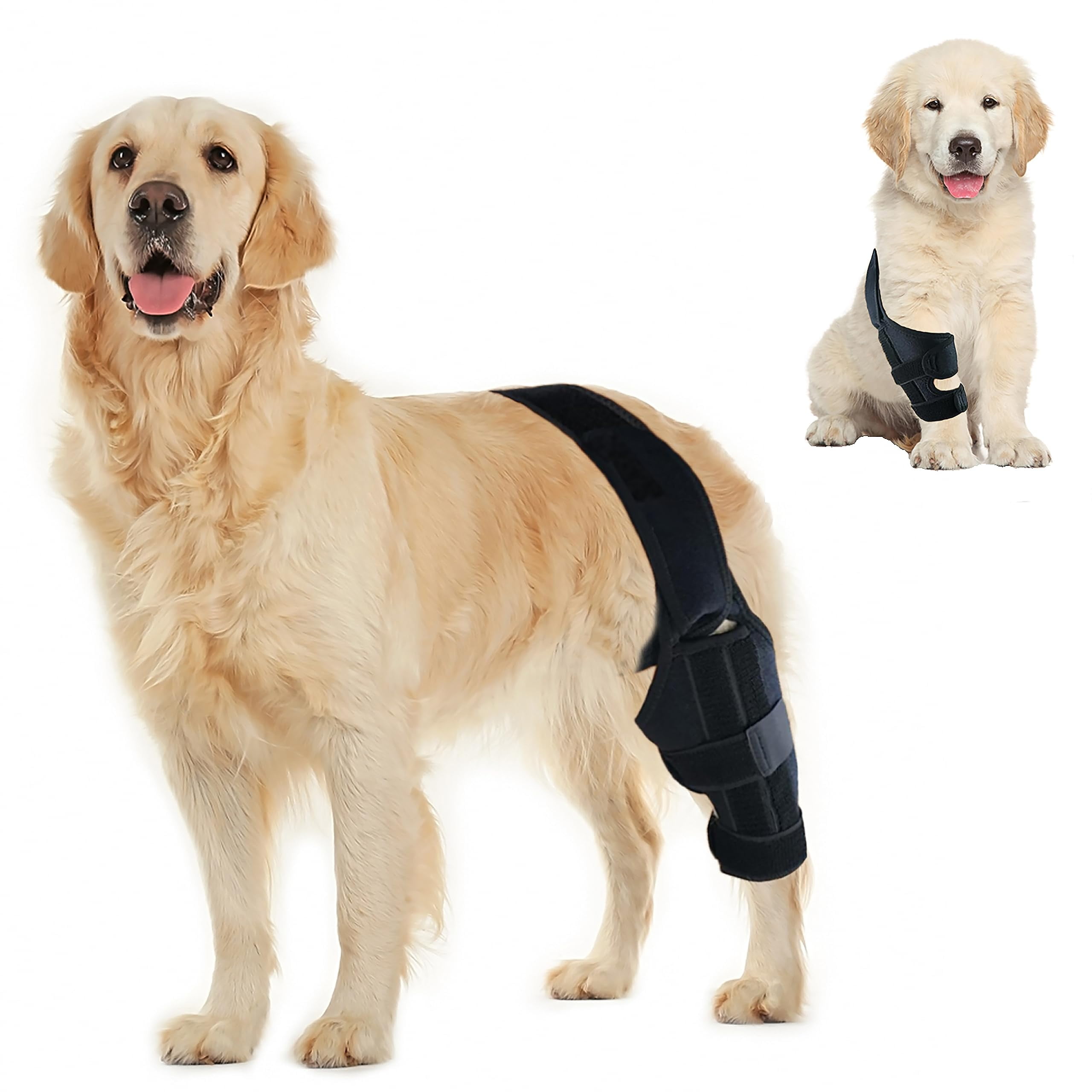 Petmingham Dog Knee Brace for ACL, Knee Cap Dislocation, Arthritis ...