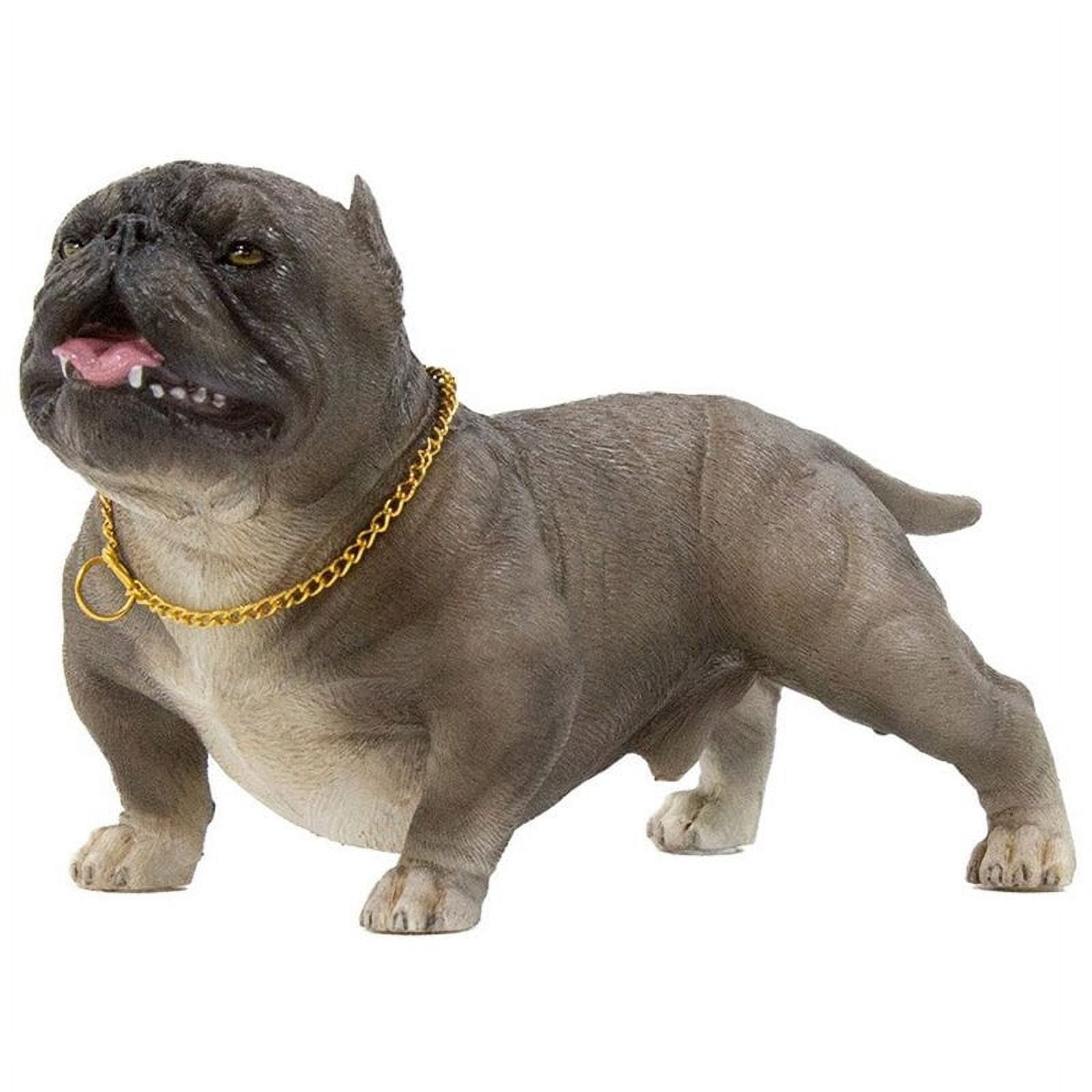Exotic American Bully