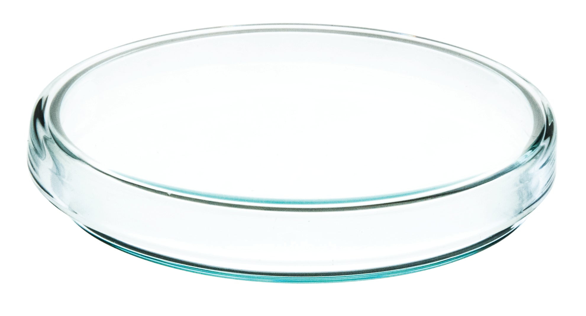 Petri Dish - 100 x 15mm - Transparent, Soda Glass - Beaded Edges ...