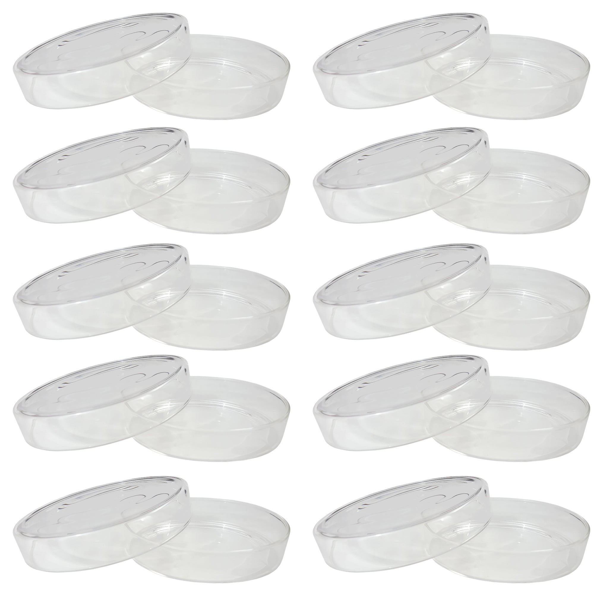 Petri Dish, Flint Glass, 100mm diameter x 15mm height. Pack of 10 ...