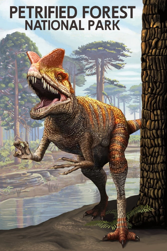 Petrified Forest National Park, Arizona, Rainbow Forest Triassic Scene ...