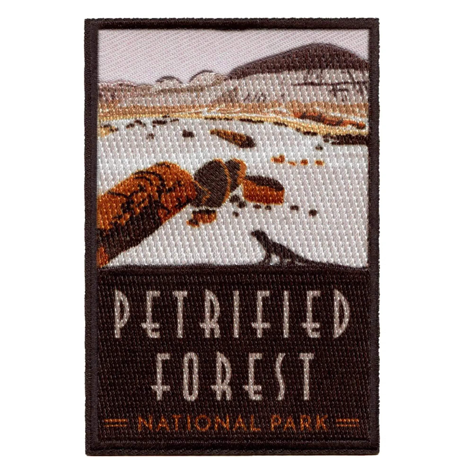 Petrified Forest National Park Patch Arizona Trailblazer Hike ...
