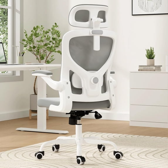Petrimins Ergonomic Office Chair with Adjustable Lumbar & Headrest ...